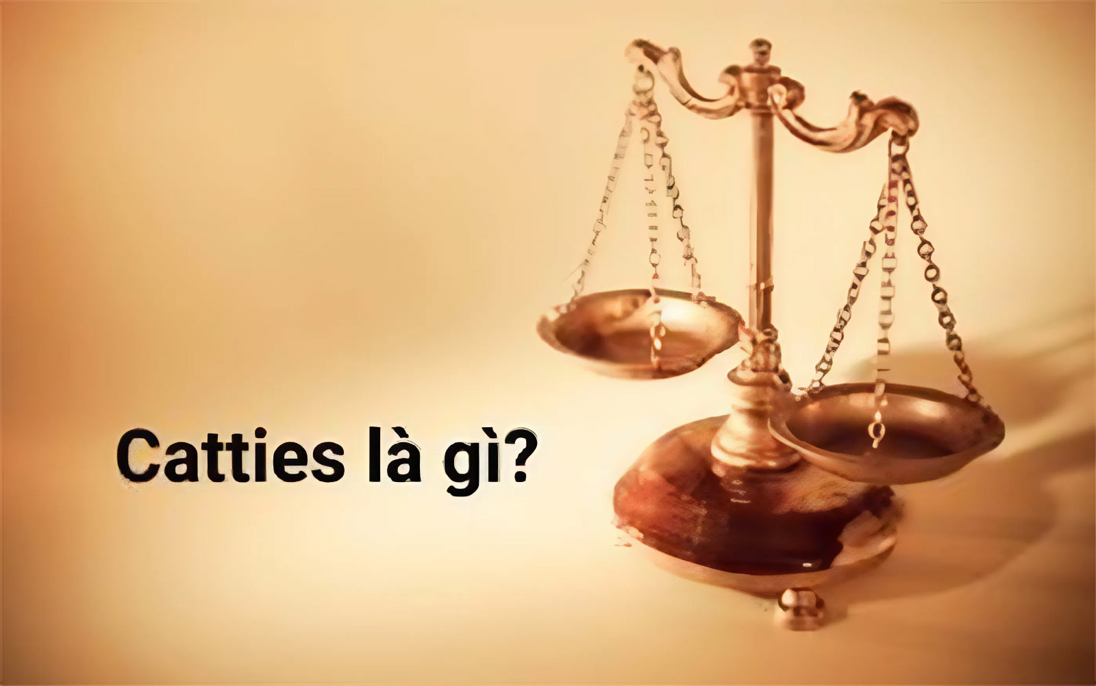 Catties là gì? Hướng dẫn cách quy đổi Catties sang kg chuẩn nhất ...